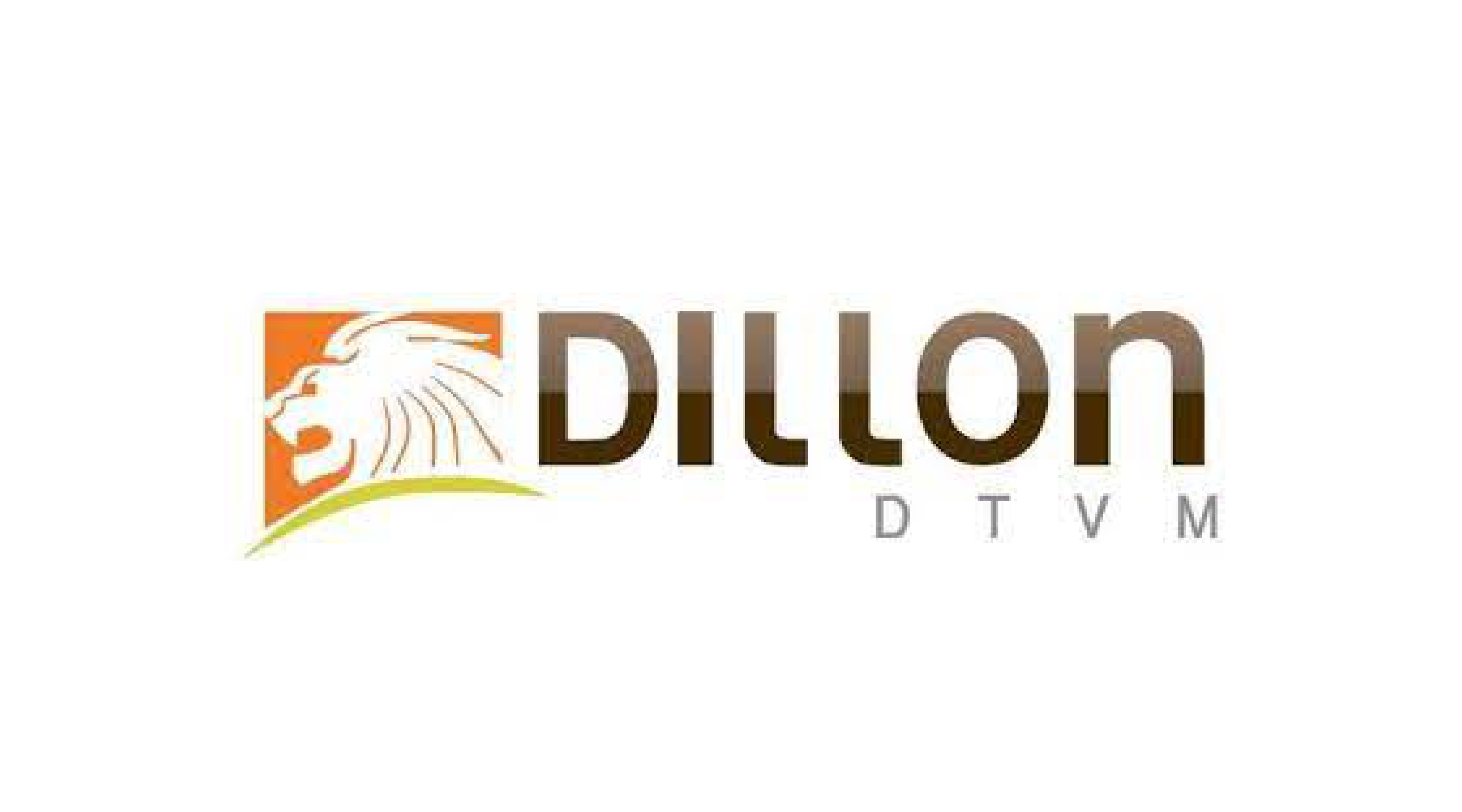 DILLON S/A DISTRIBUIDORA DE TITULOS E VALORES MOBILIARIOS - ABRACAM